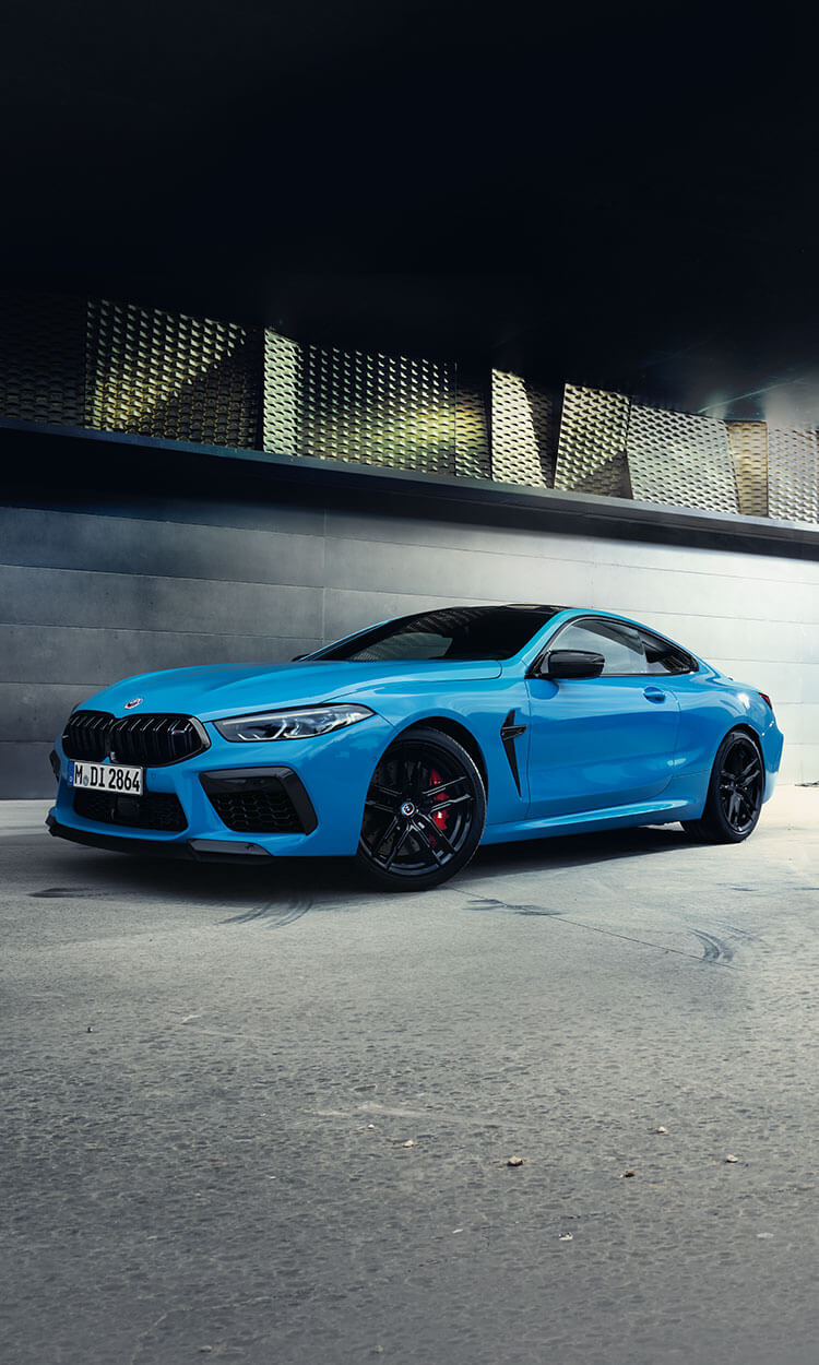 Appearance of an Icon